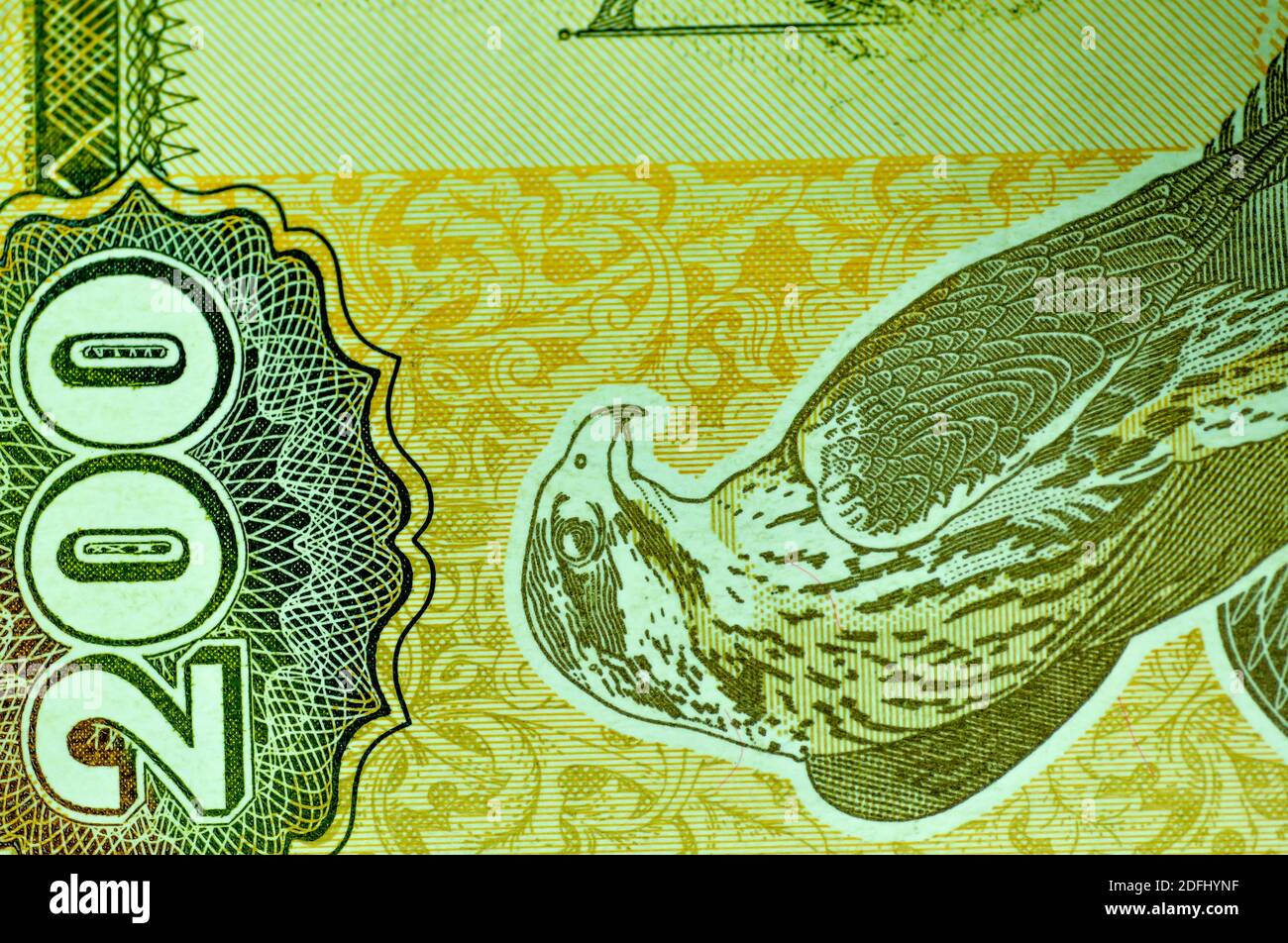 200 Dirham High Resolution Stock Photography and Images - Alamy