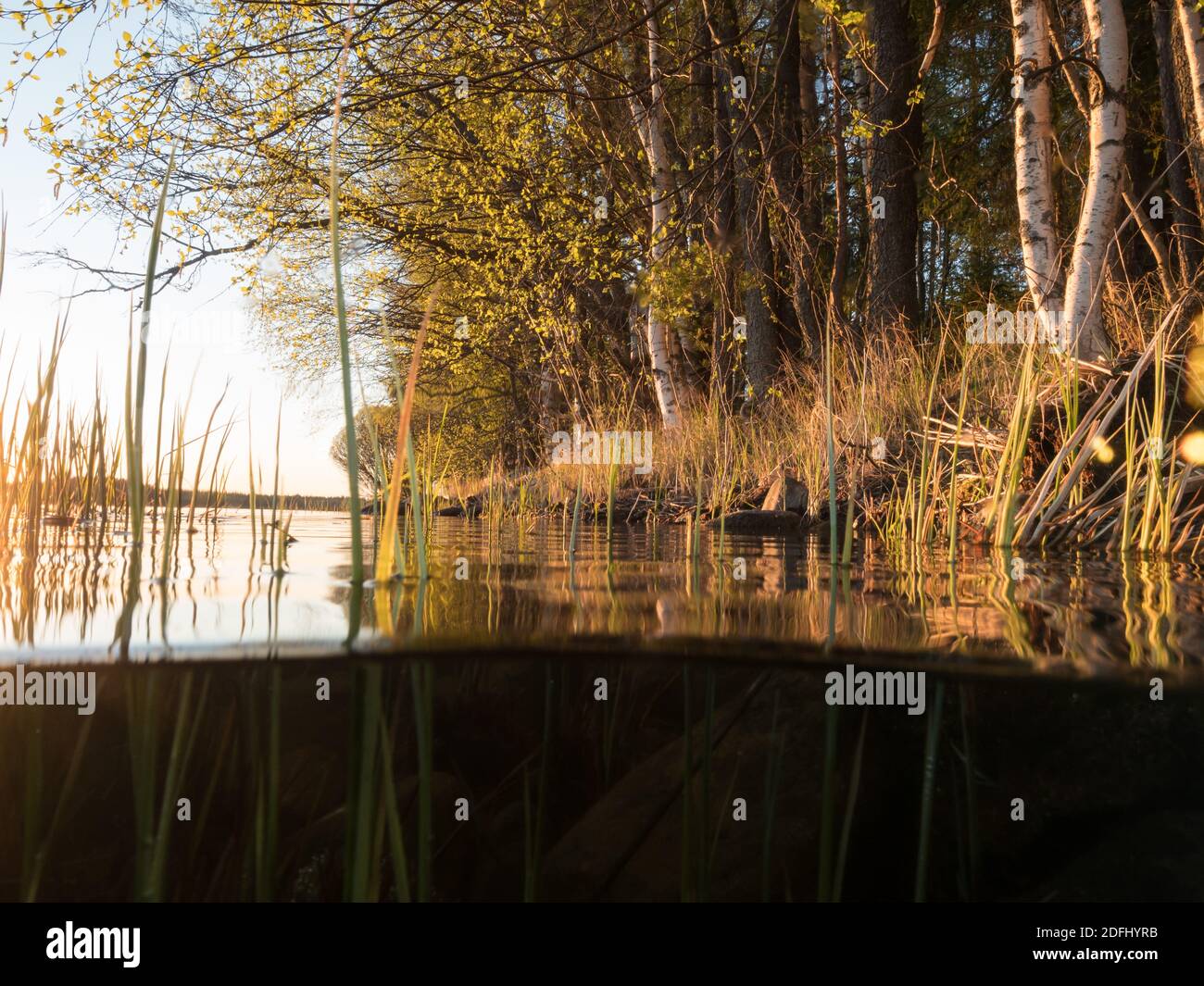 Split underwater shot hi-res stock photography and images - Alamy