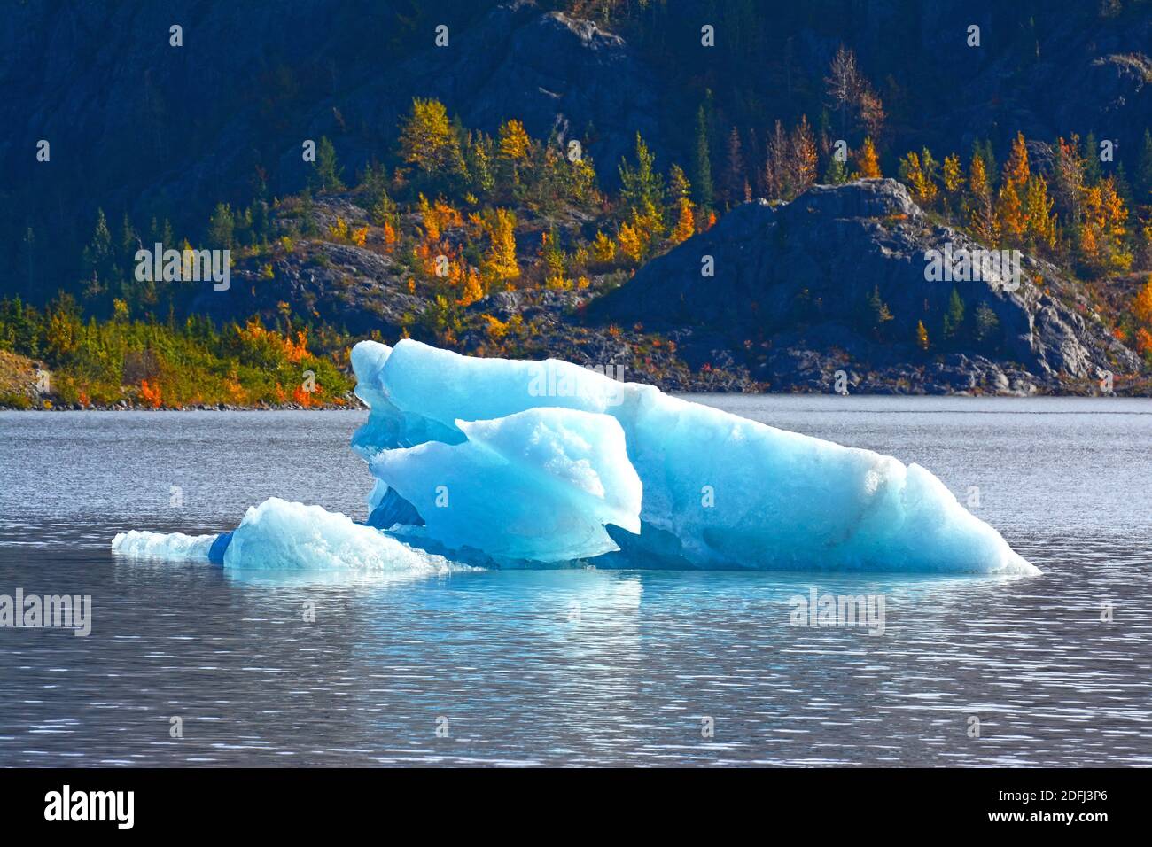 Ice floating in a glacier lake, Alaska Stock Photo - Alamy