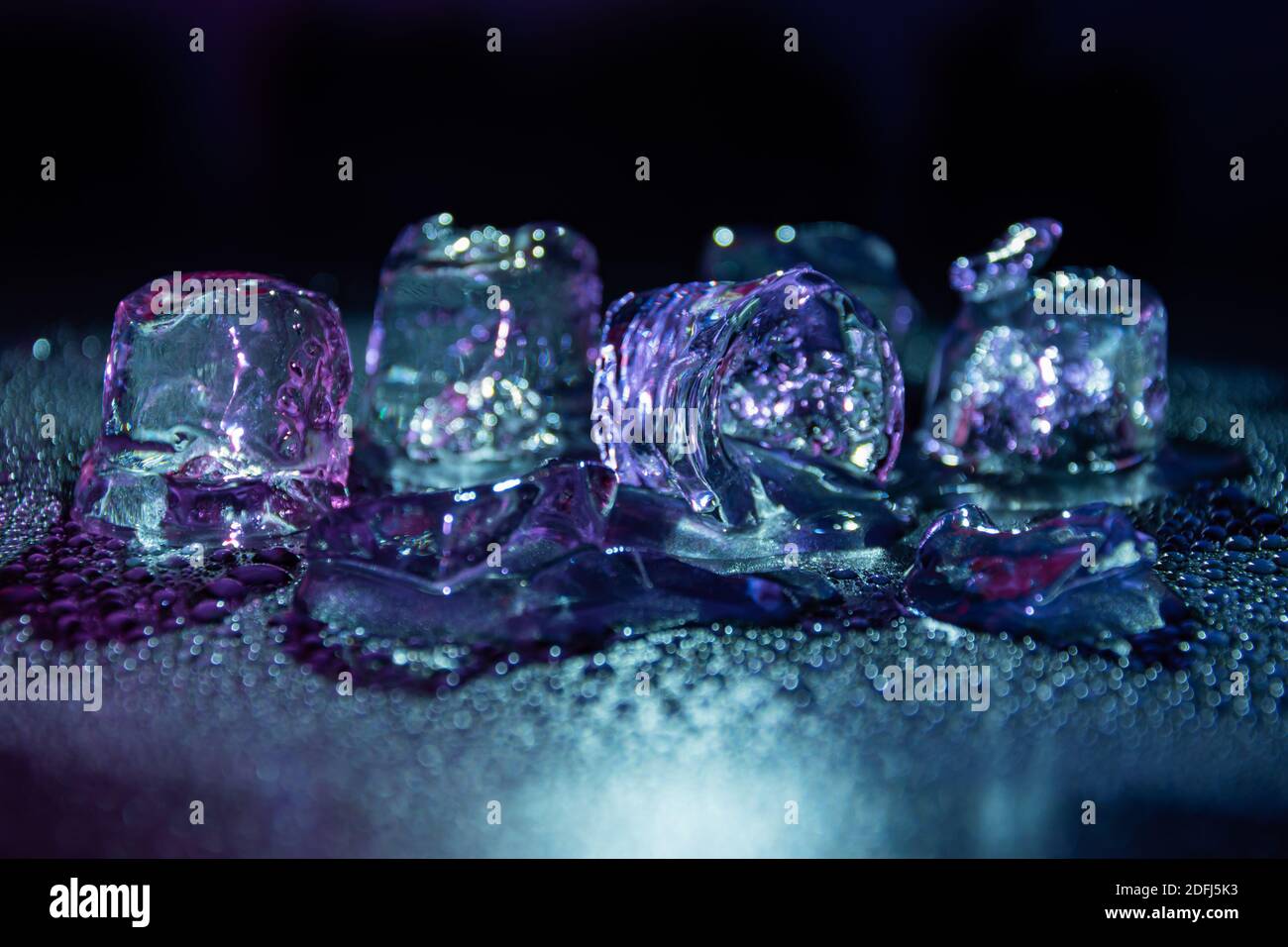Melting frozen ice cubes illuminated with gradient coloured LED light ...