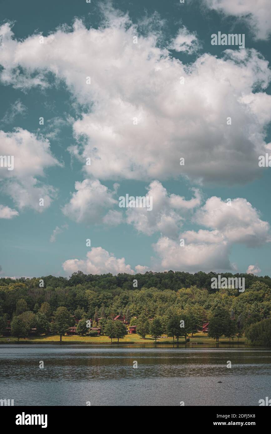 Sheldrake new york hi-res stock photography and images - Alamy