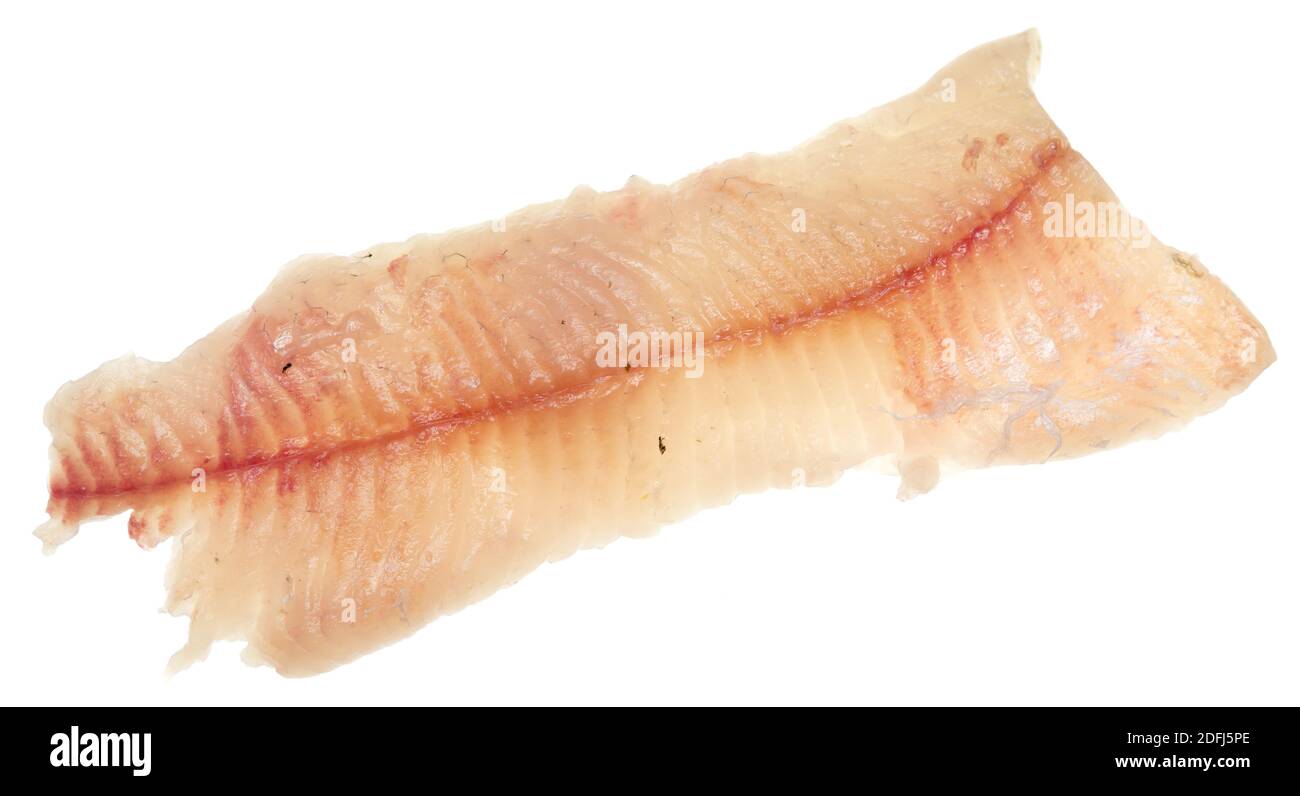 Fish fillet on a white background Stock Photo - Alamy