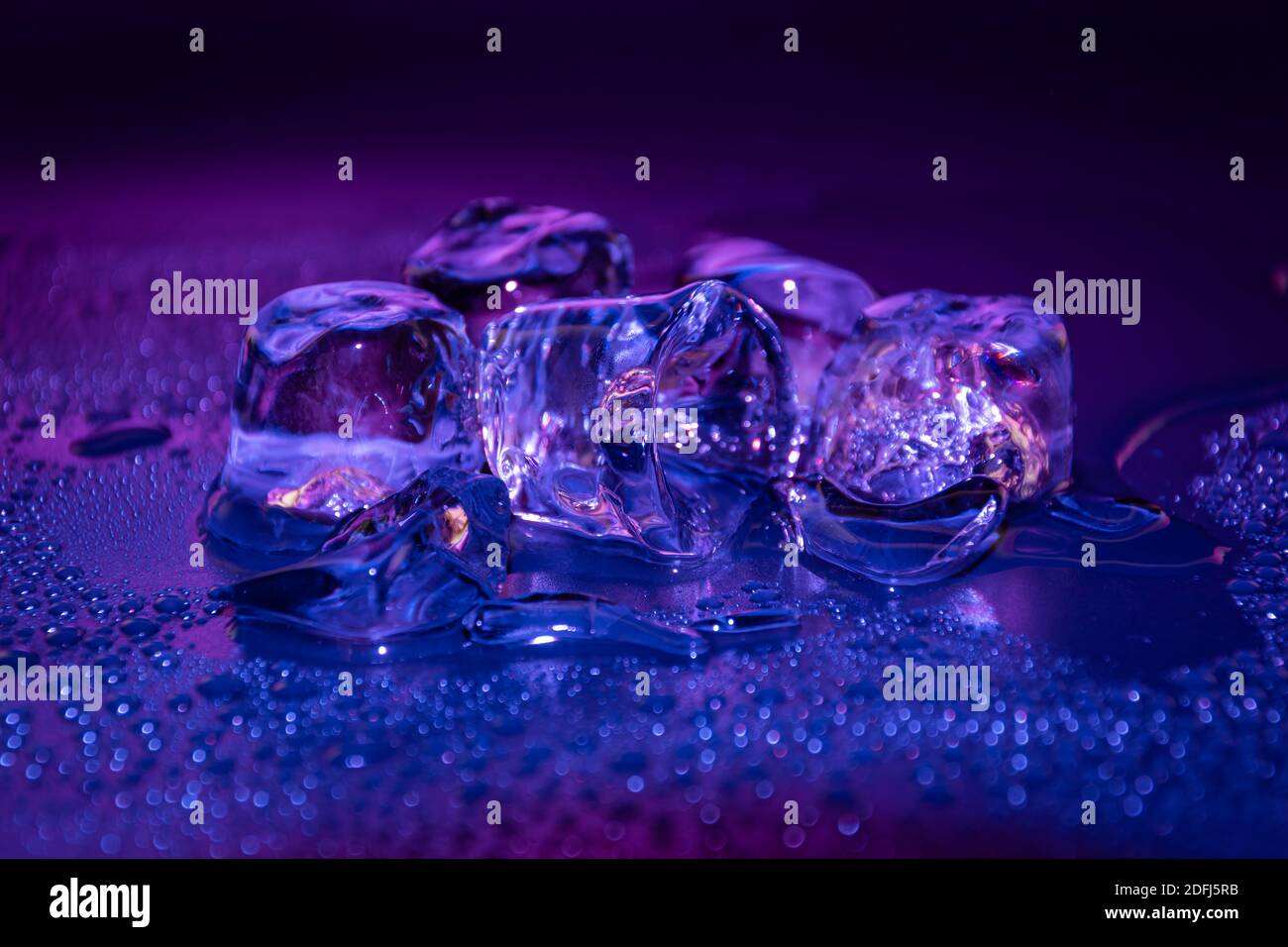 Melting frozen ice cubes illuminated with gradient coloured LED light ...