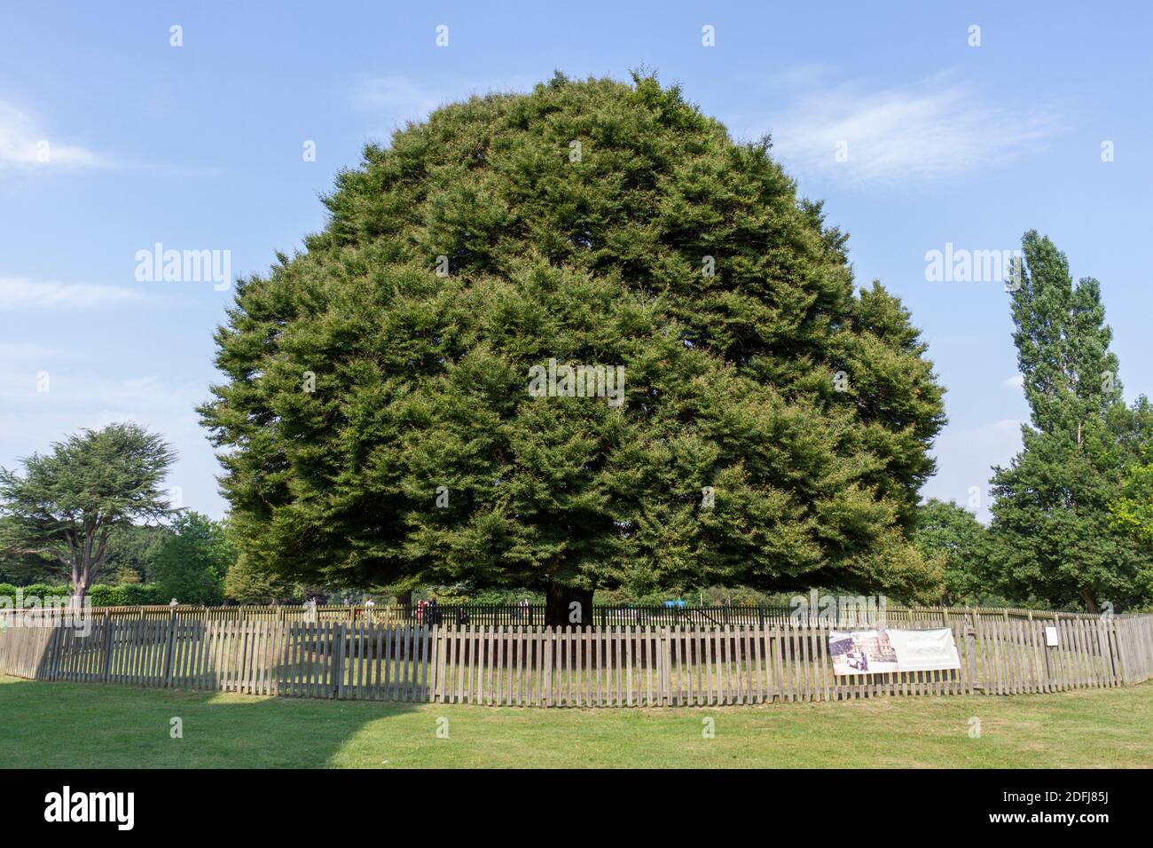 Nottinghamshire park fence hi-res stock photography and images - Alamy