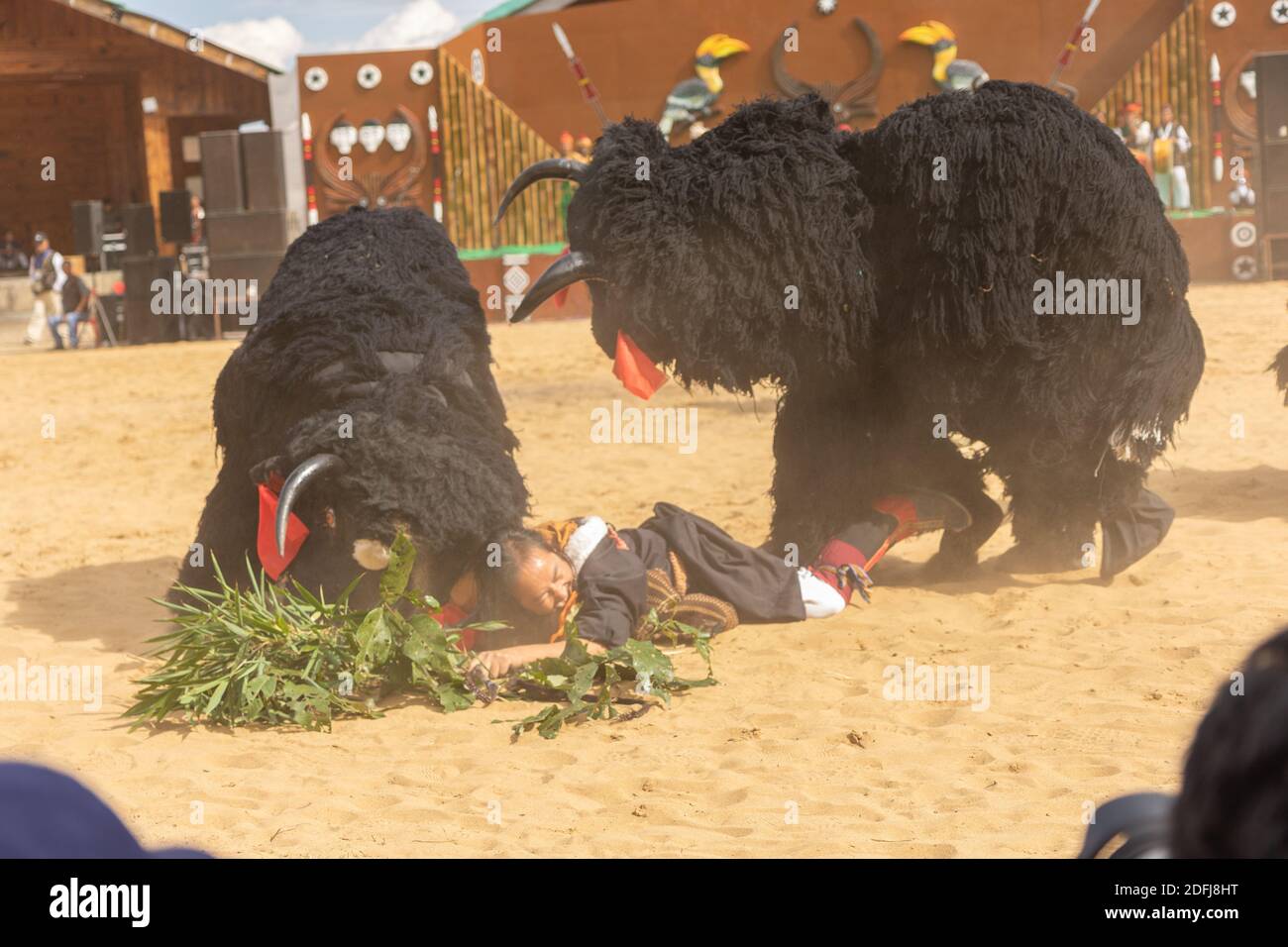Performance of the Yak dance of Sikkim at Kisama Nagaland India on 2 ...
