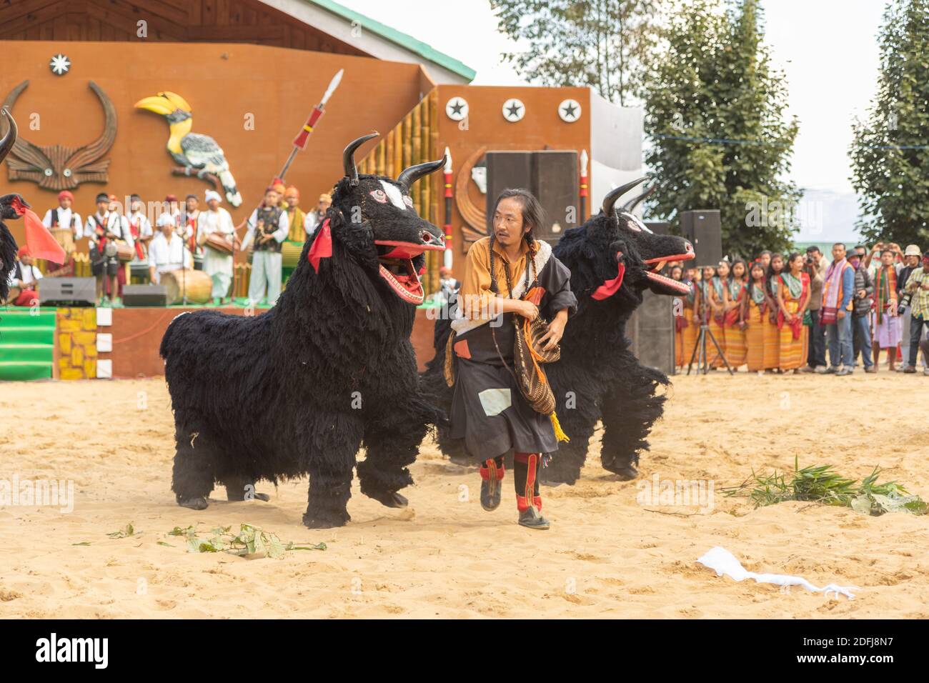 Performance of the Yak dance of Sikkim at Kisama Nagaland India on 2 ...
