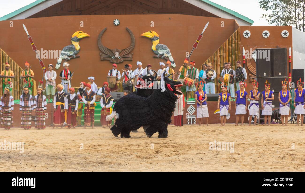 Performance of the Yak dance of Sikkim at Kisama Nagaland India on 2 ...