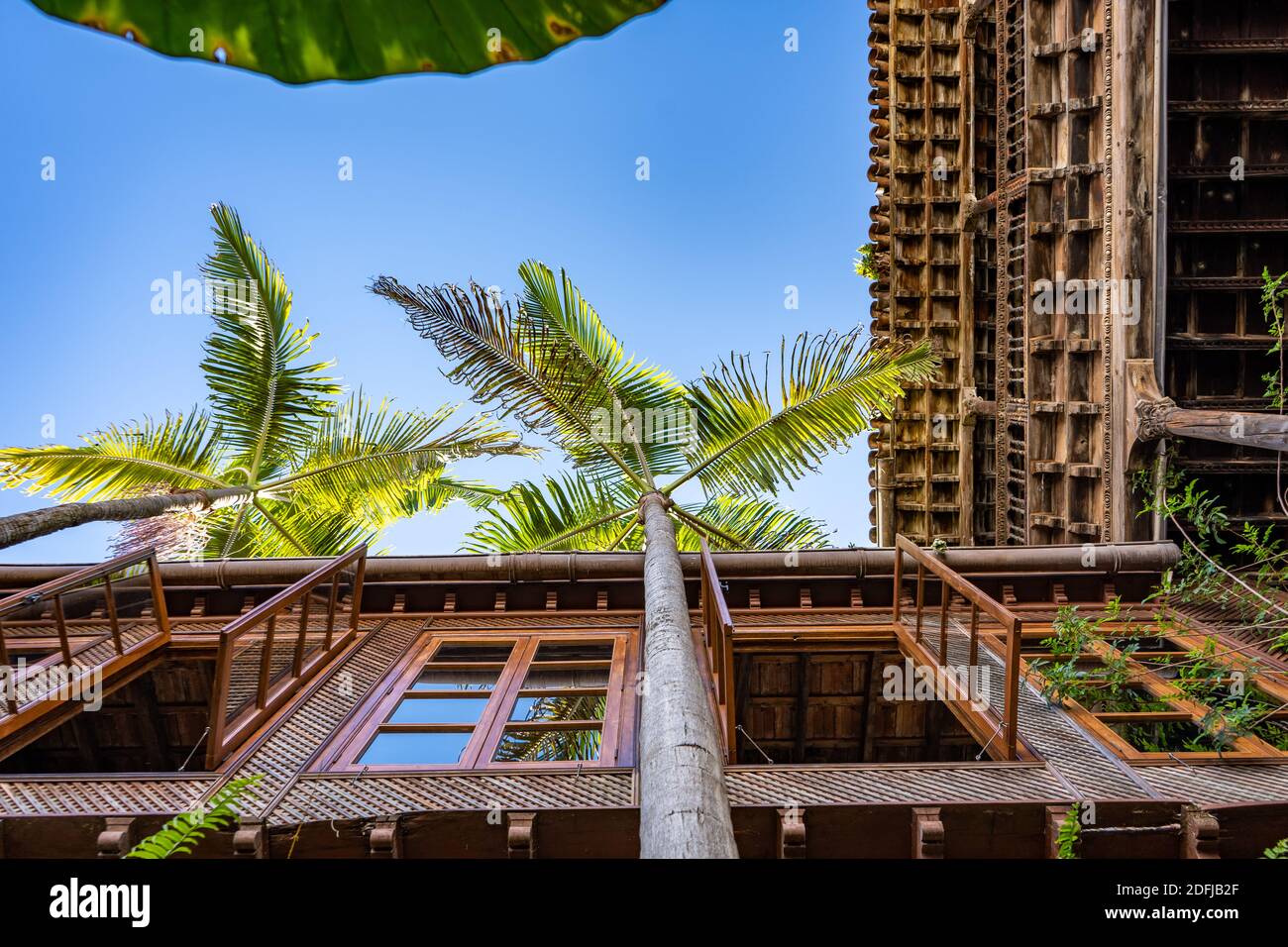 tropical resort with palms and wooden material Stock Photo - Alamy