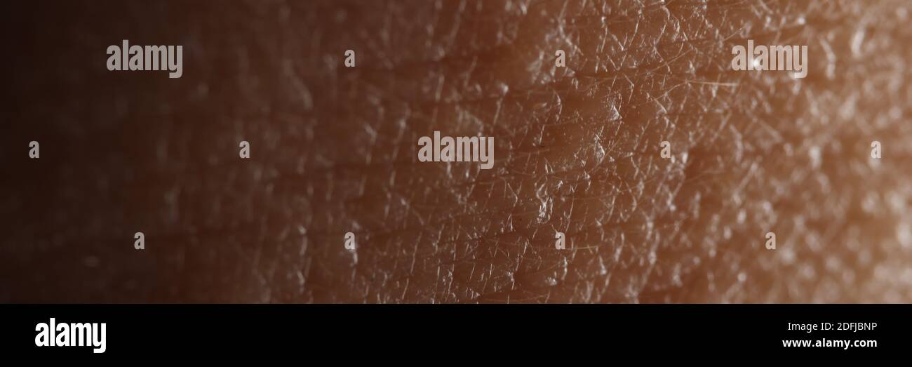 Human skin texture dark hi-res stock photography and images - Alamy