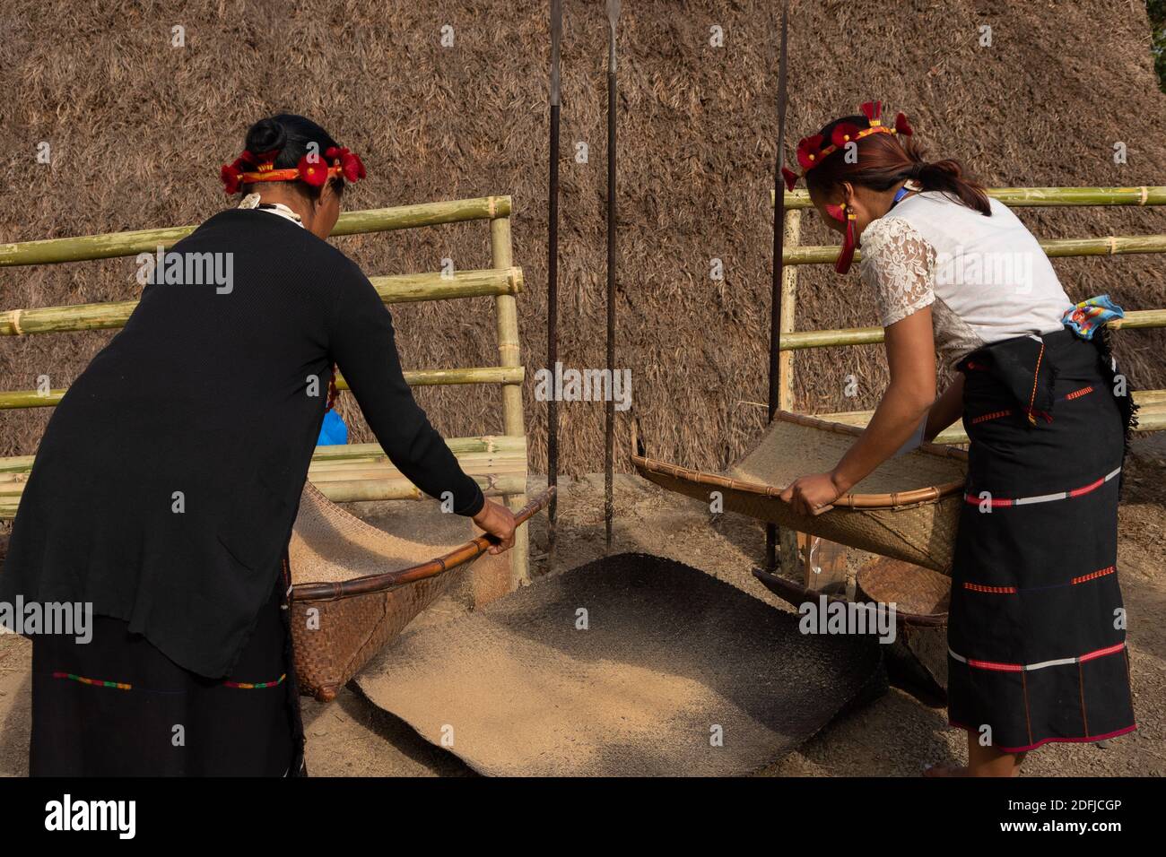 Naga women working together and cleaning food grains in Nagaland India ...