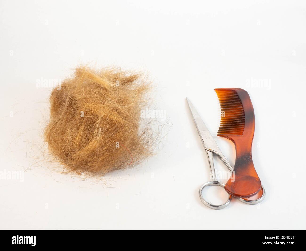 A tuft of hair after being cut, laid next to a pair of scissors, comb ...