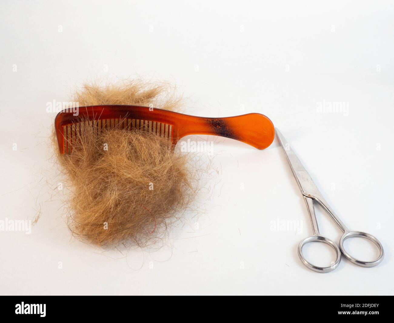 A tuft of hair after being cut, laid next to a pair of scissors, comb ...