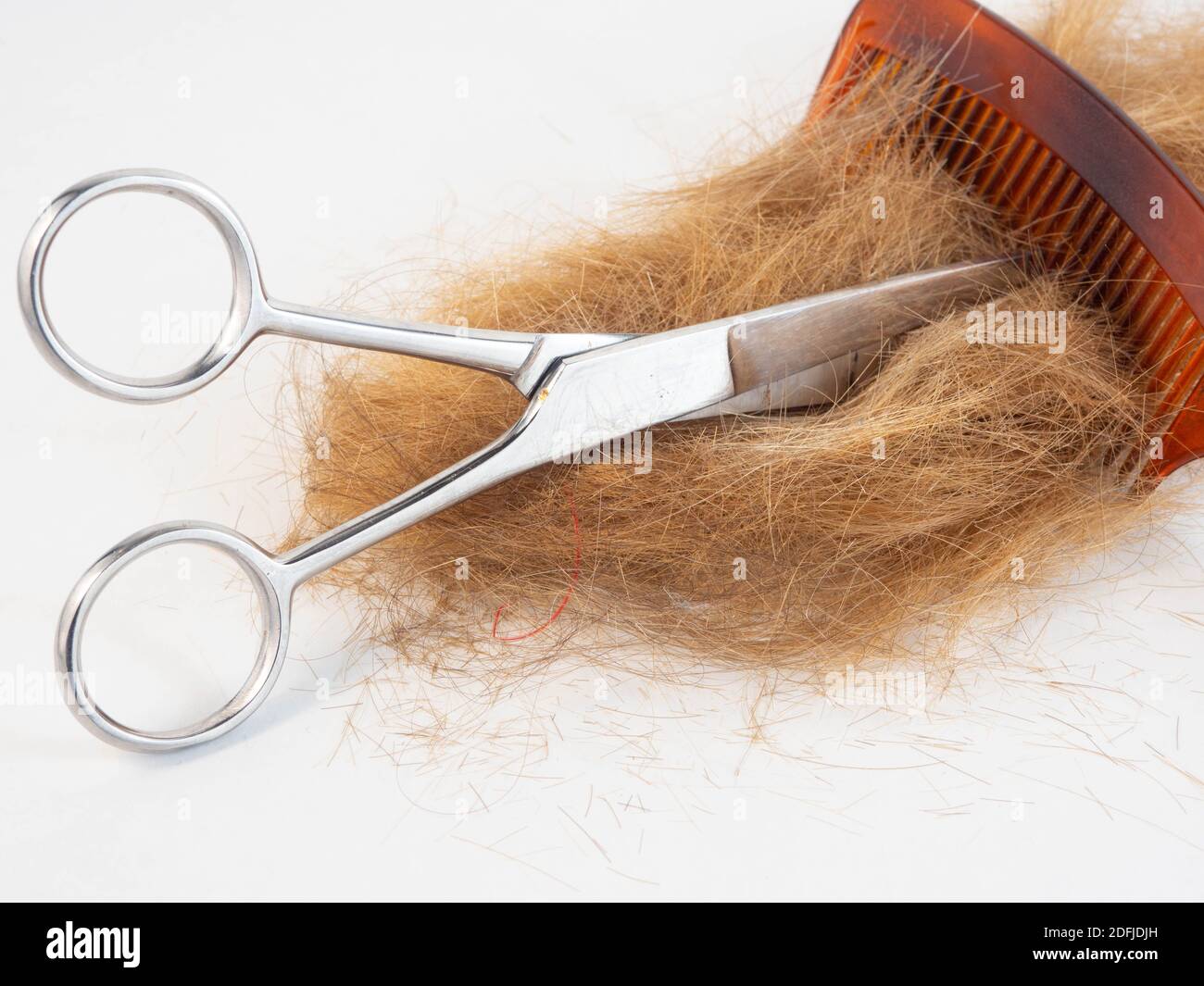 A tuft of hair after being cut, laid next to a pair of scissors, comb ...
