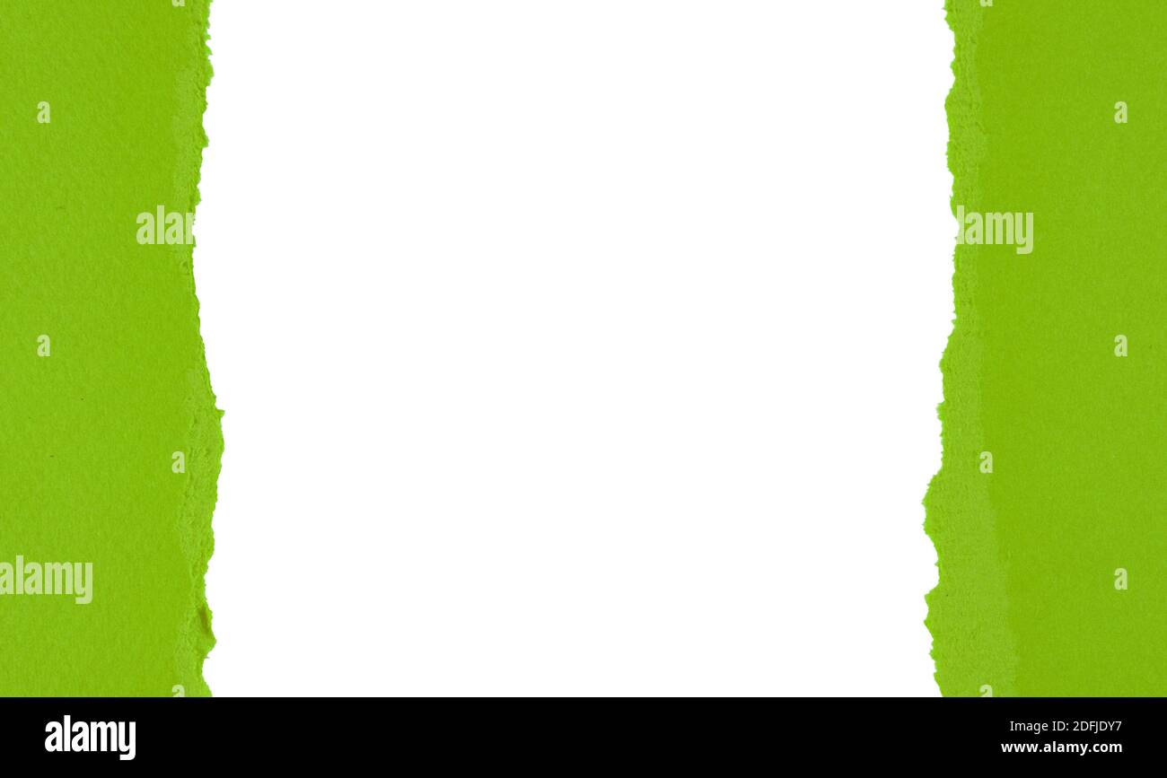 Green torn paper with rolled edge with blank space. Torn paper with ...