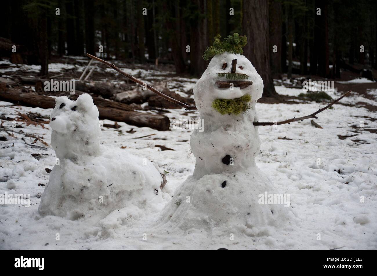 Snowman and snow dog surrounded by woods Stock Photo - Alamy