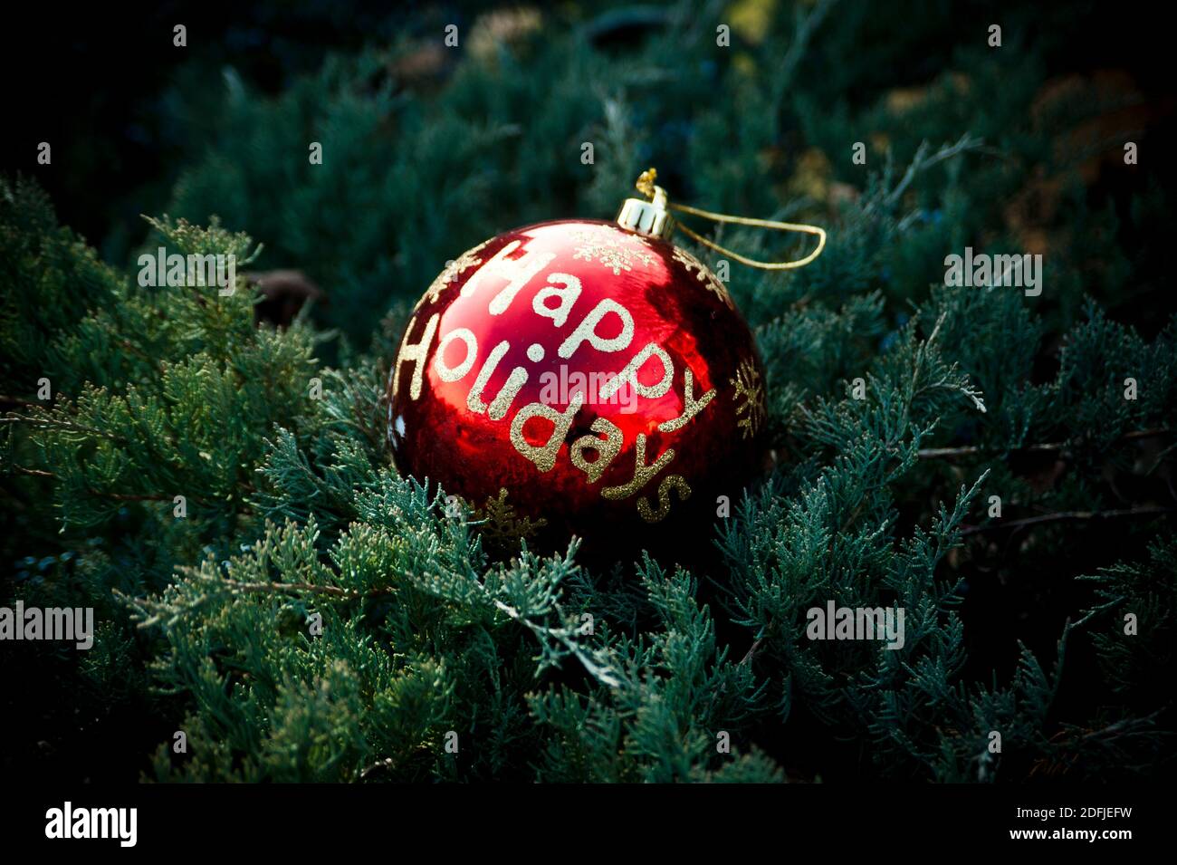 Christmas decoration bulb laying in a pine tree Stock Photo - Alamy