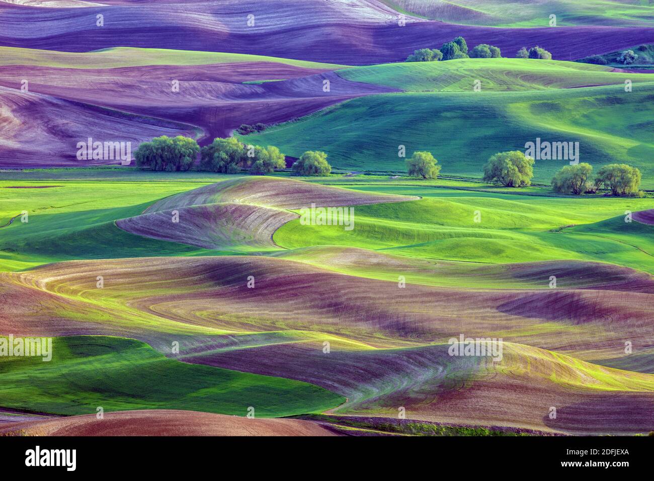 Palouse hills farmland hi-res stock photography and images - Alamy