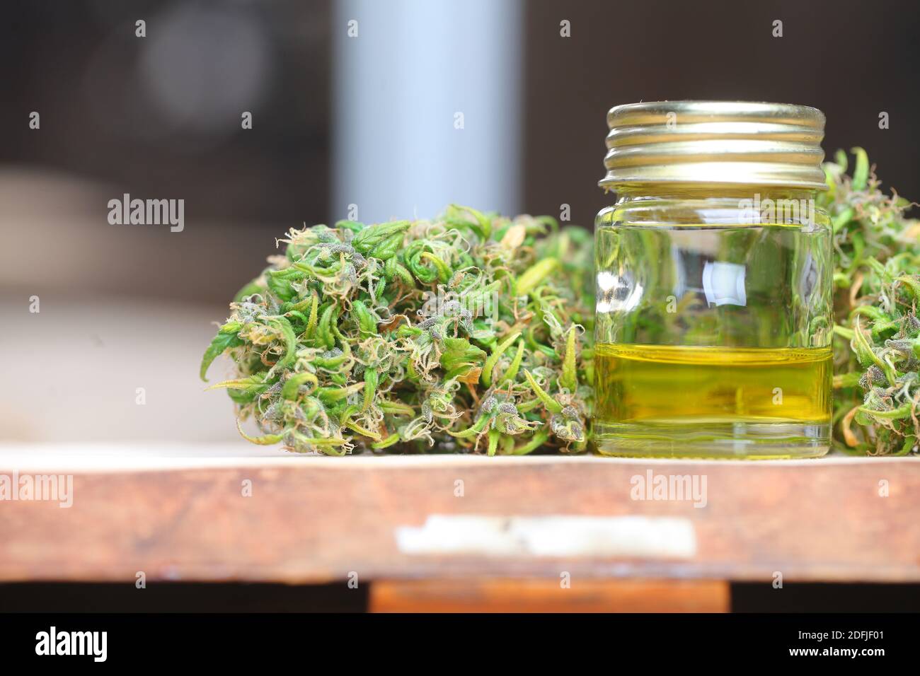 Medical marijuana . cannabis indica. cbd oil . hemp buds Stock Photo ...