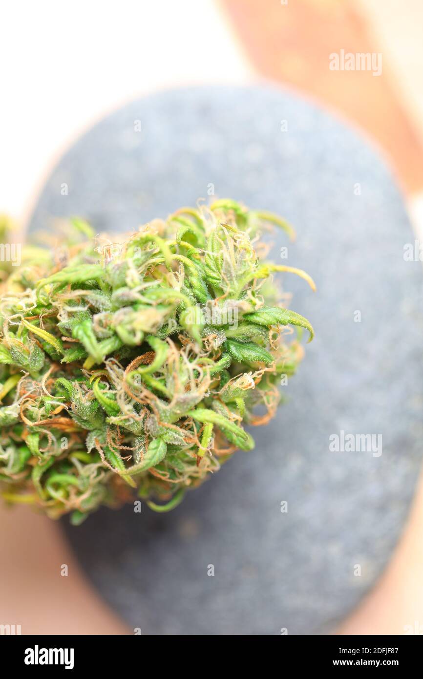 Medical marijuana . cannabis indica. cbd oil . hemp buds Stock Photo ...