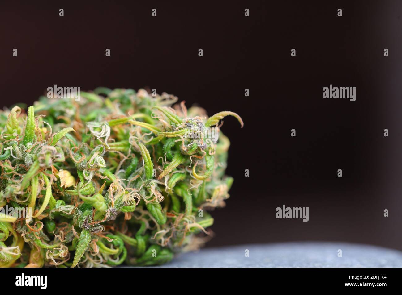 Medical marijuana . cannabis indica. cbd oil . hemp buds Stock Photo ...