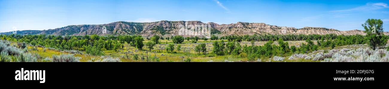 Wide open view across national park with clear skys Stock Photo - Alamy