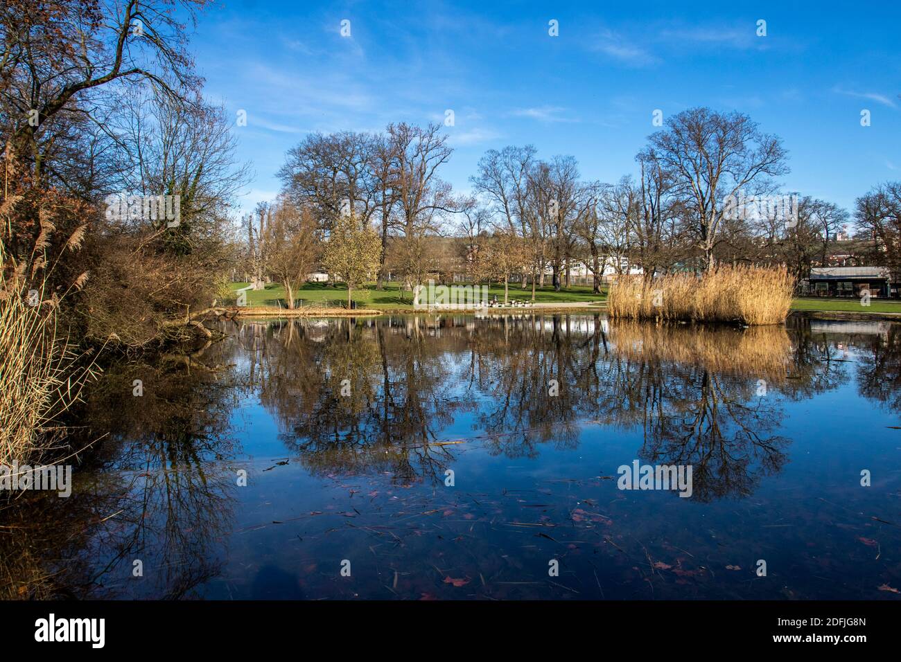 Pumpsee, Rosensteinpark, Stuttgart, Deutschland Stock Photo - Alamy