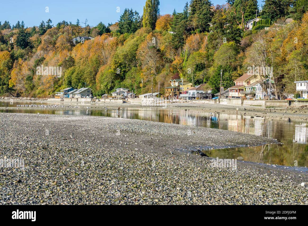 Autumn trees above waterfront homes in Des Moines, Washington Stock ...