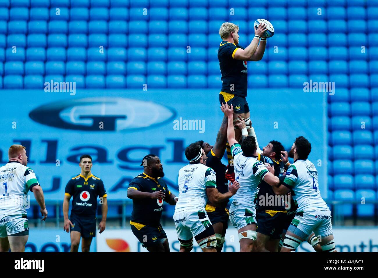 Wasps james gaskell hi-res stock photography and images - Alamy