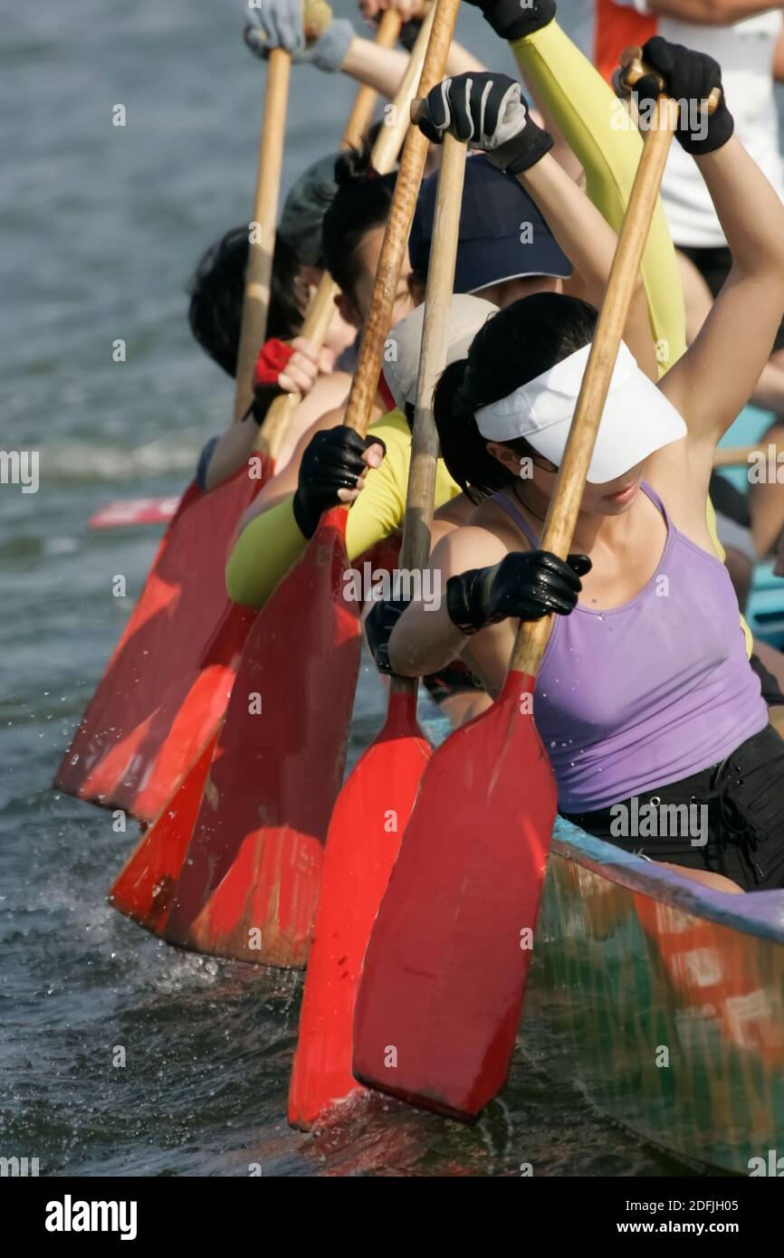 ladies training on a dragon boat Stock Photo - Alamy