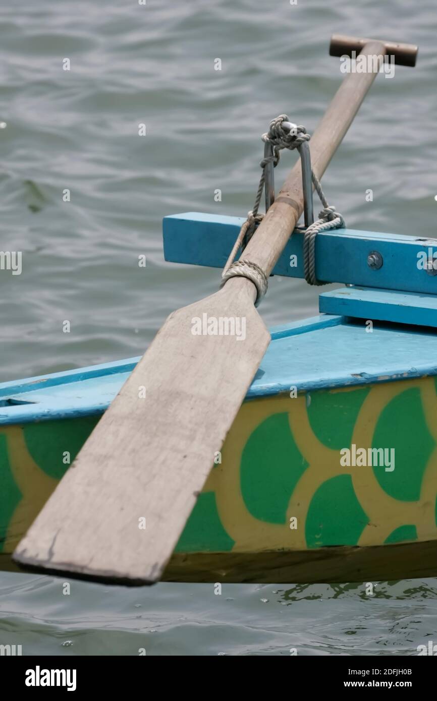 steering oar of a dragon boat Stock Photo - Alamy