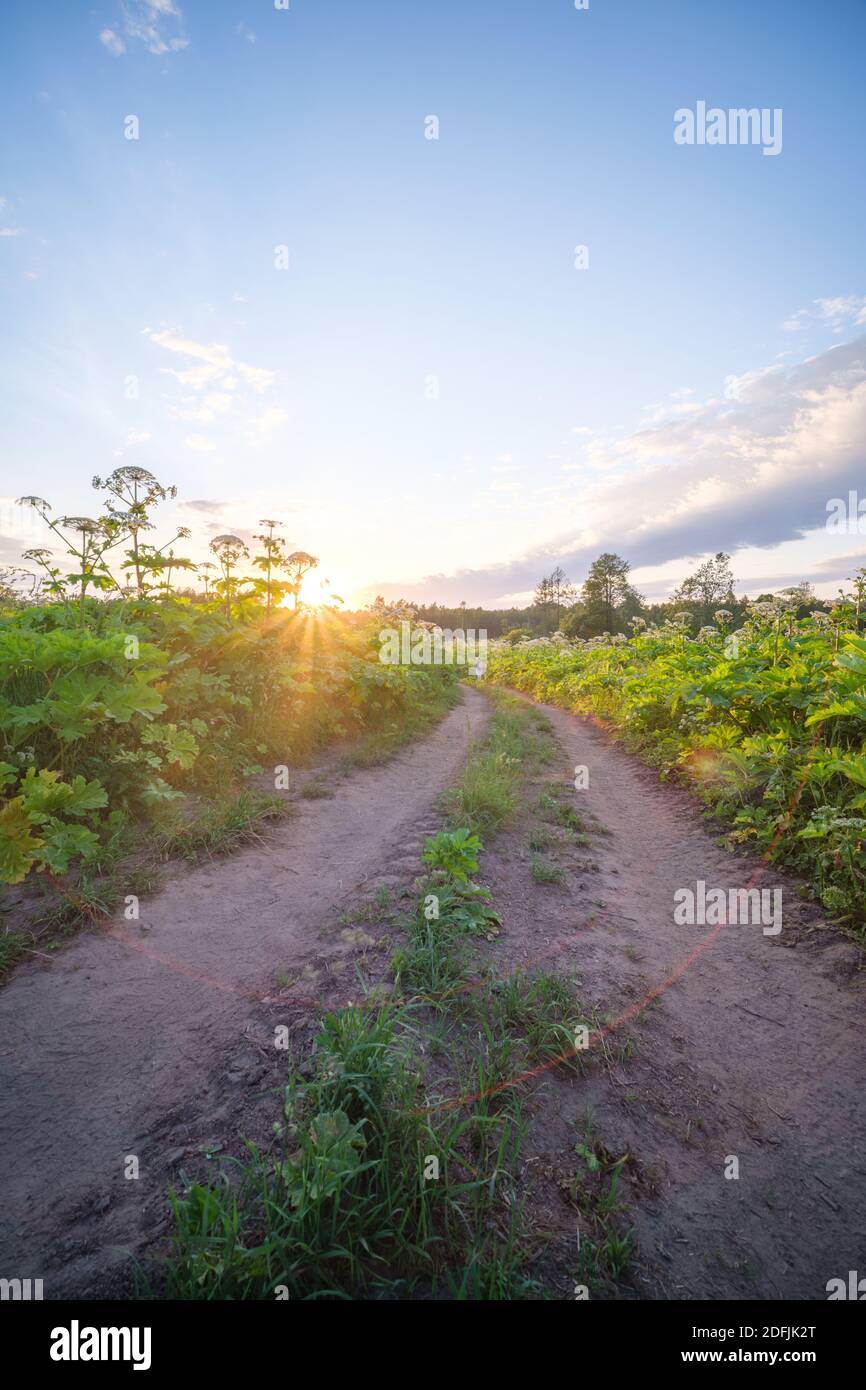 endless beautiful country gravel road in perspective with dust and sun ...