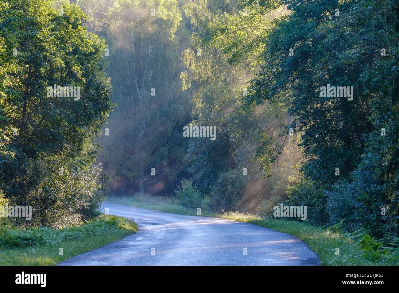 endless beautiful country gravel road in perspective with dust and sun ...