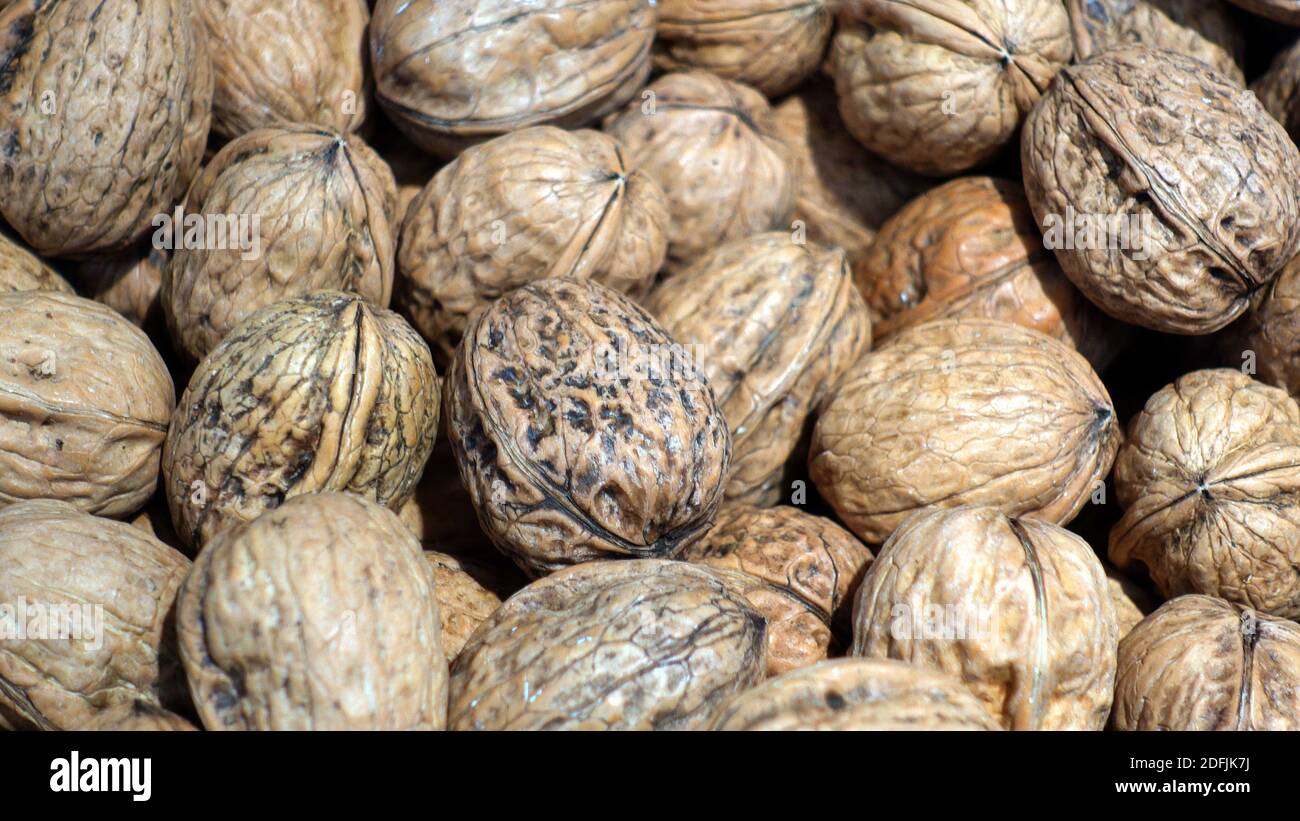 background of many nuts, pile of nuts: organic nuts with clean shell ...