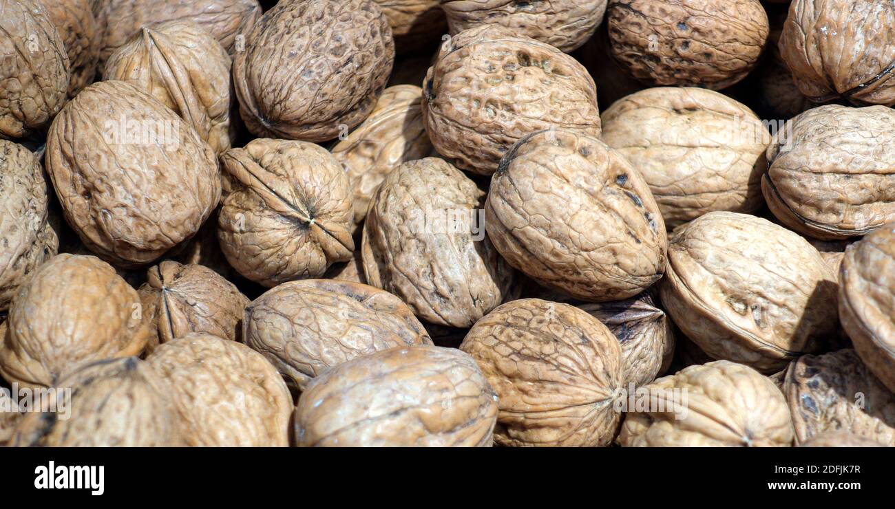 background of many nuts, pile of nuts: organic nuts with clean shell ...