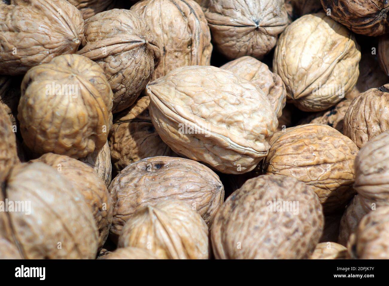 background of many nuts, pile of nuts: organic nuts with clean shell ...