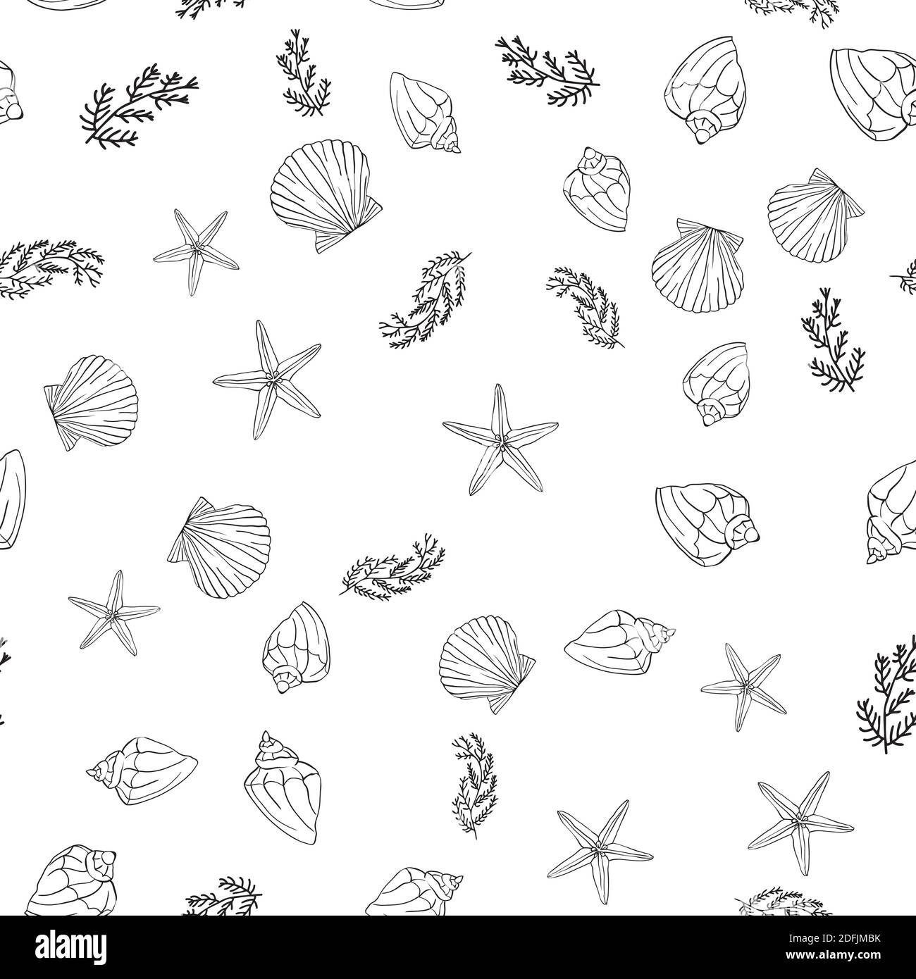 Sea shells vector vectors hi-res stock photography and images - Alamy