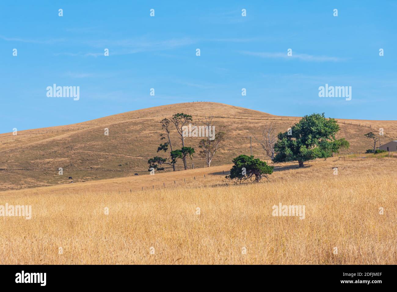 Red rock reserve including several craters of volcanic origin near ...