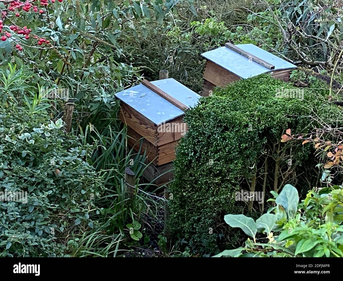 Beehive stock image hi-res stock photography and images - Alamy