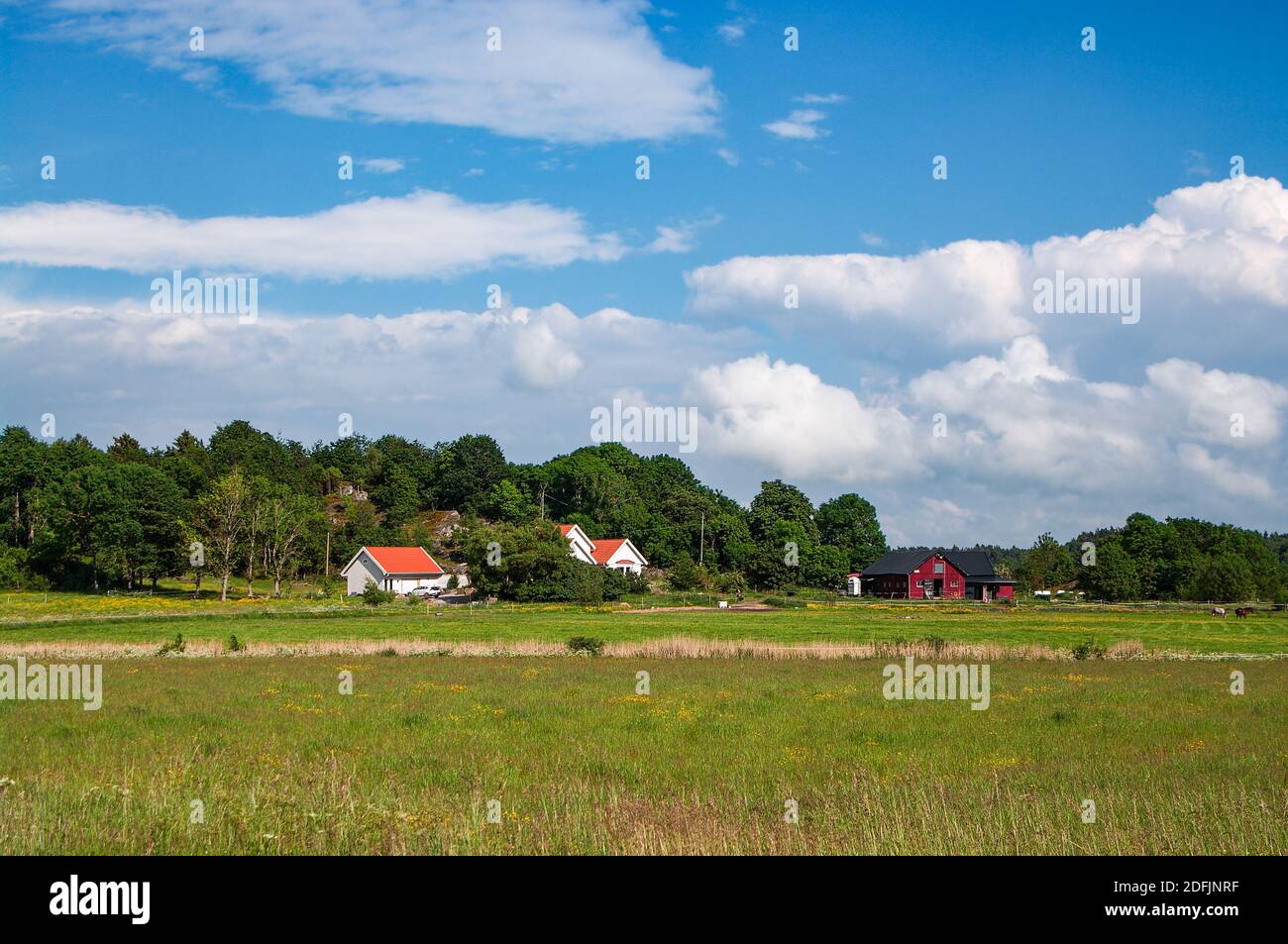 farming in sweden Stock Photo - Alamy