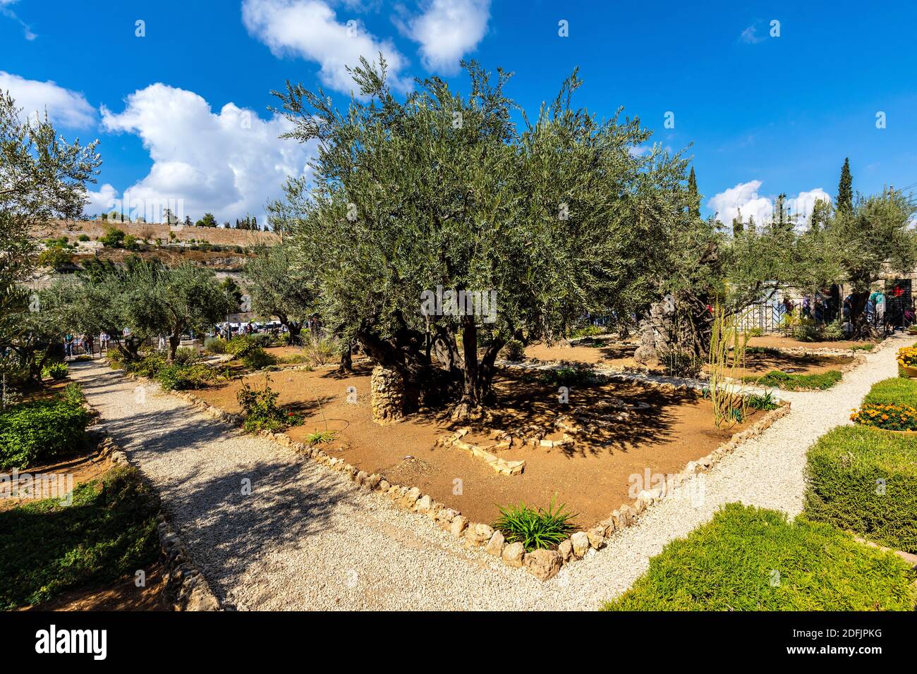 Garden of gethsemane hi-res stock photography and images - Alamy