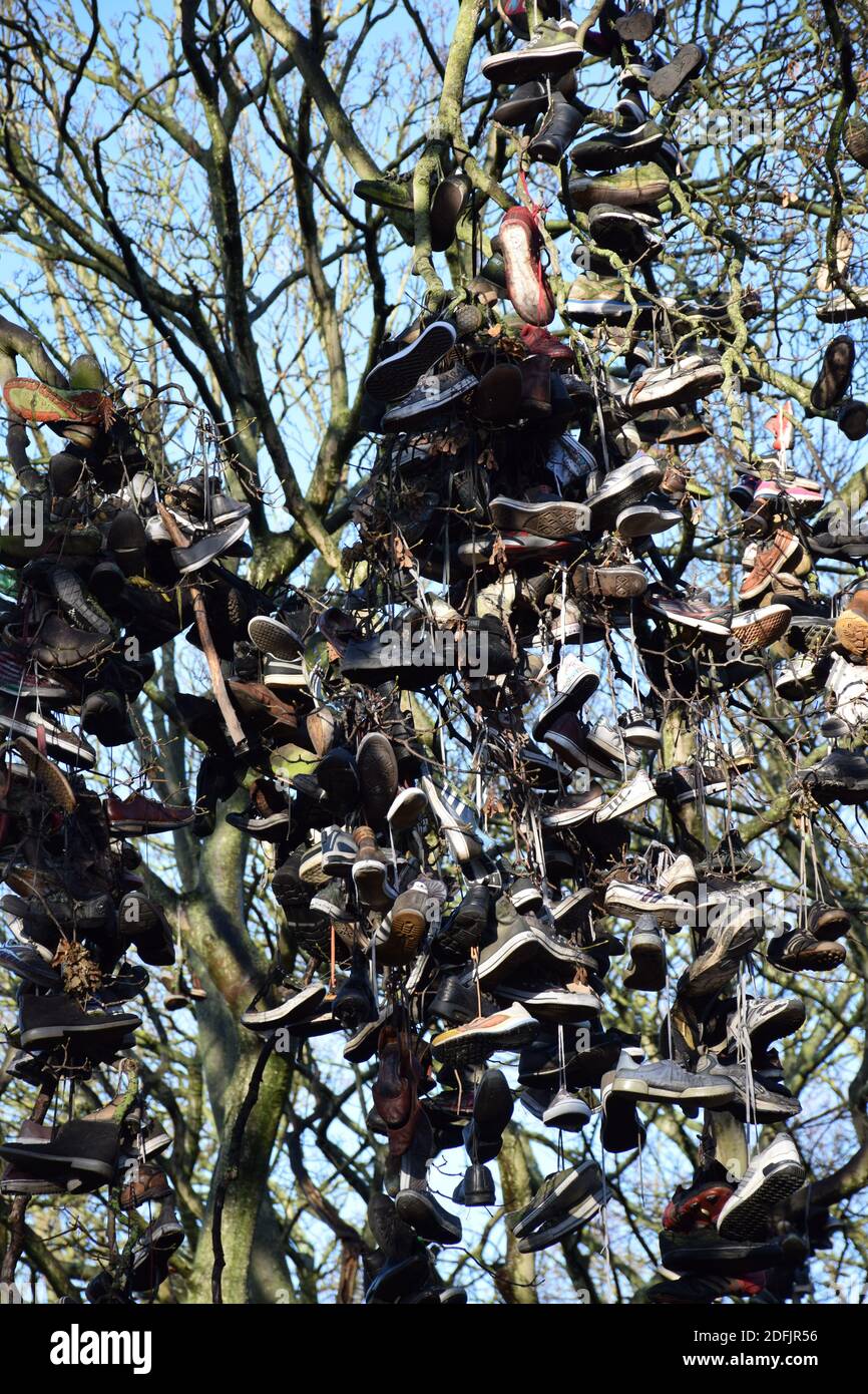The Shoe Tree Of Heaton Park Newcastle Stock Photo - Alamy