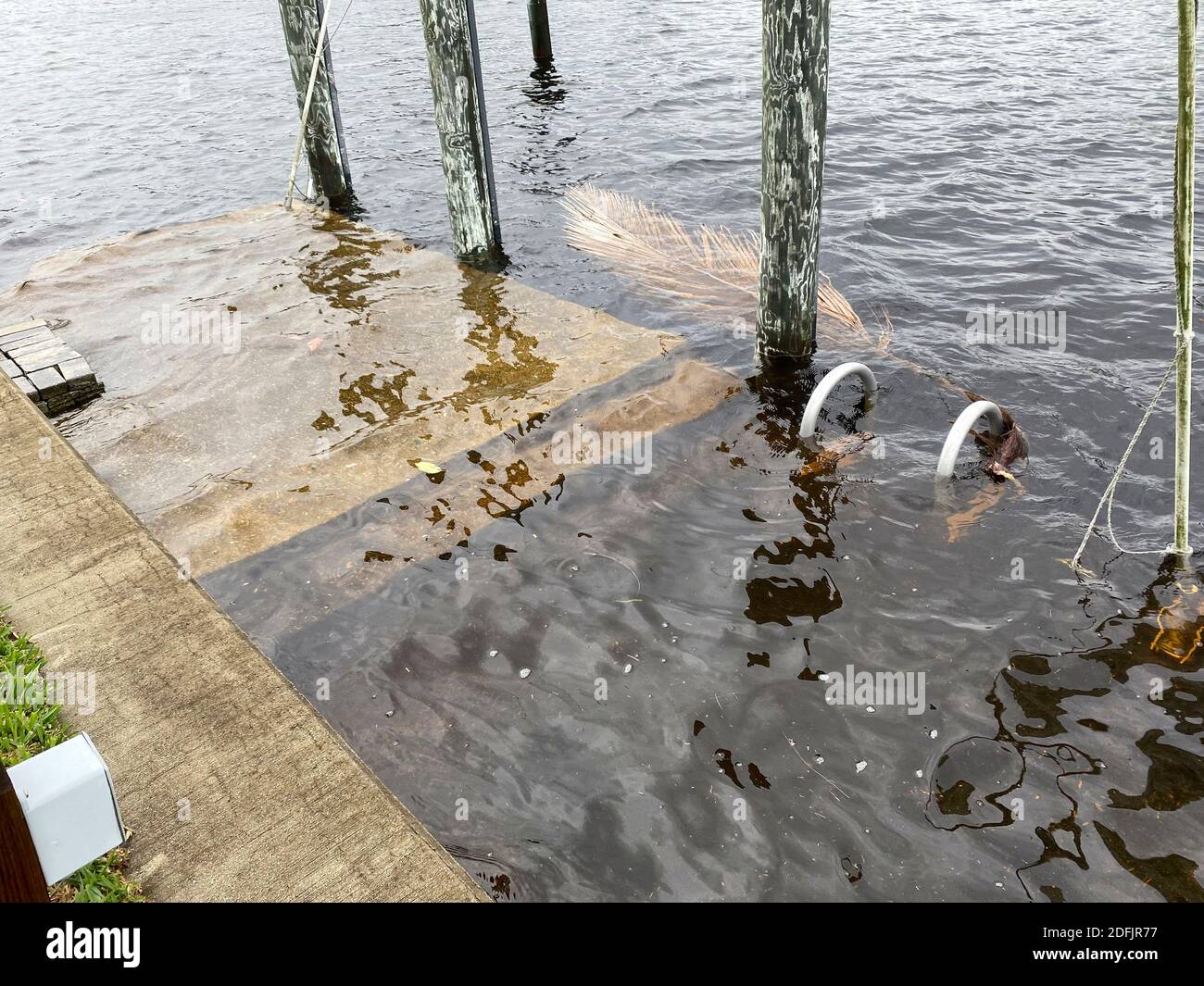 dock under water, high water level, swim ladder, pilings, dead palm ...