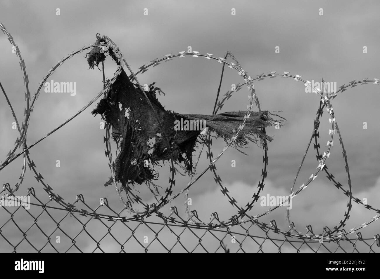 Torn material on razor wire against a monochrome sky, suggestive of a ...
