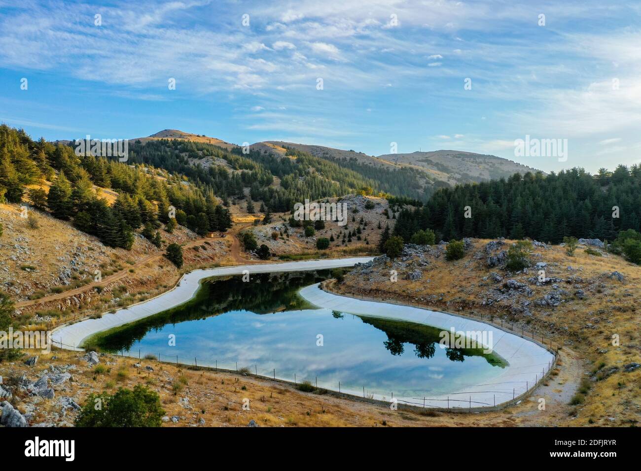 Shouf Biosphere reserve - Barouk cedars forest Stock Photo - Alamy