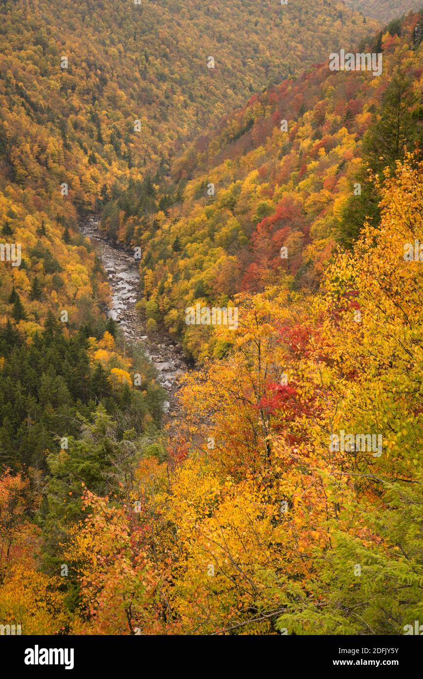Autumn sunset view from Pendleton Overlook in Blackwater Falls State ...