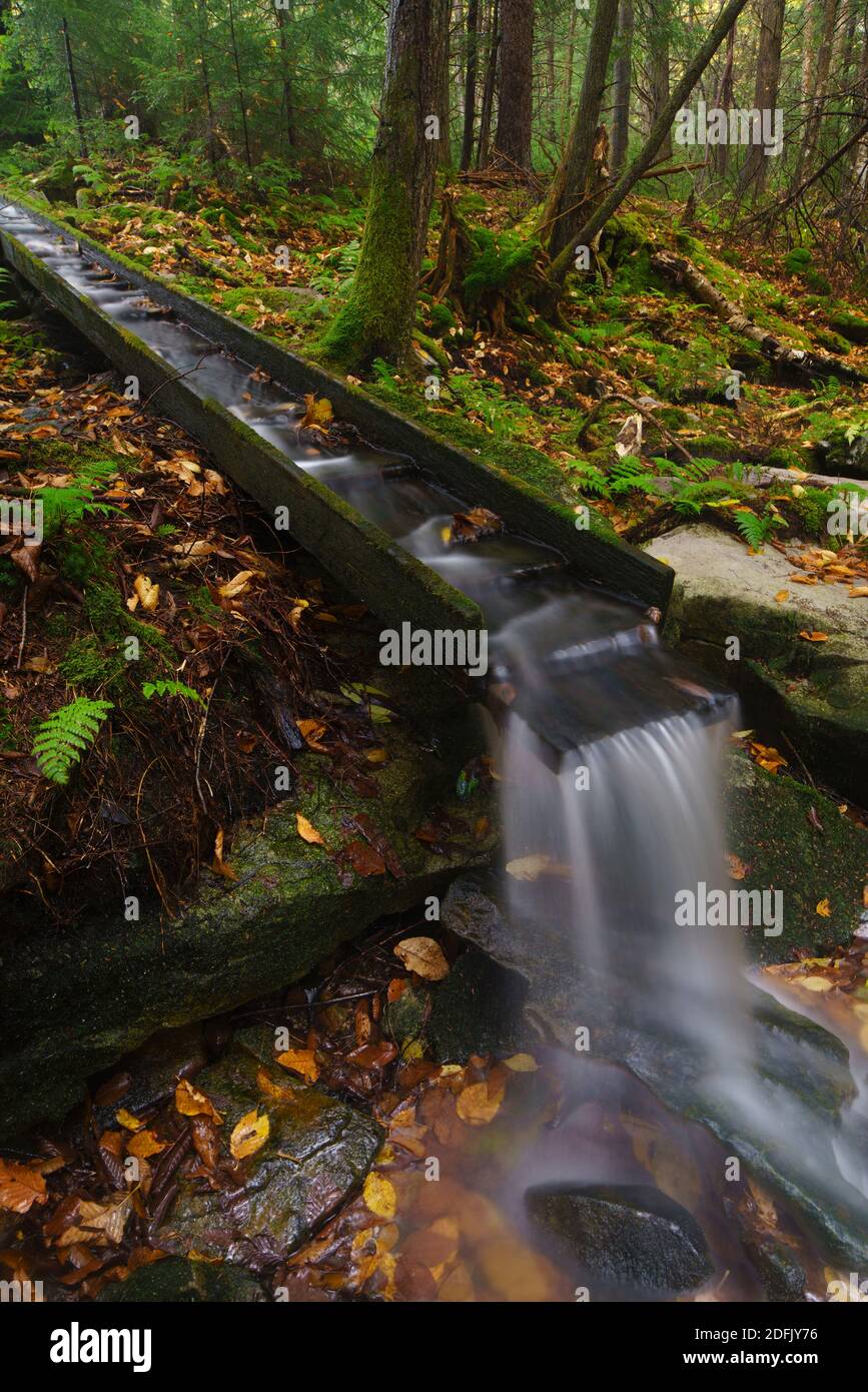 Autumn view of headwaters of Elakala Falls in Blackwater Falls State ...