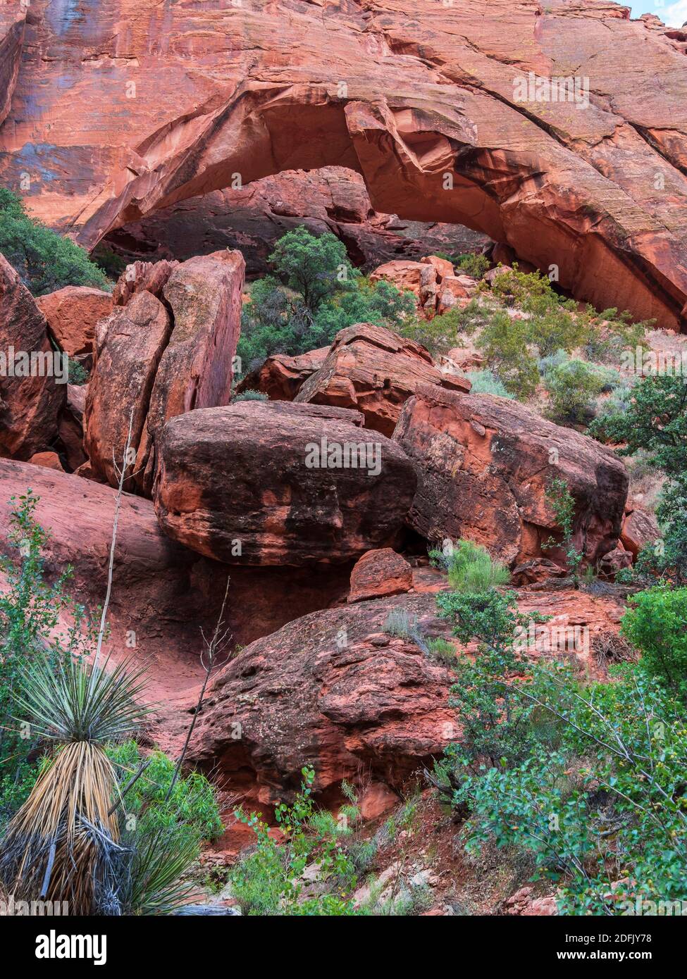 Johnson Arch, Johnson Canyon Trail, Snow Canyon State Park, Saint ...