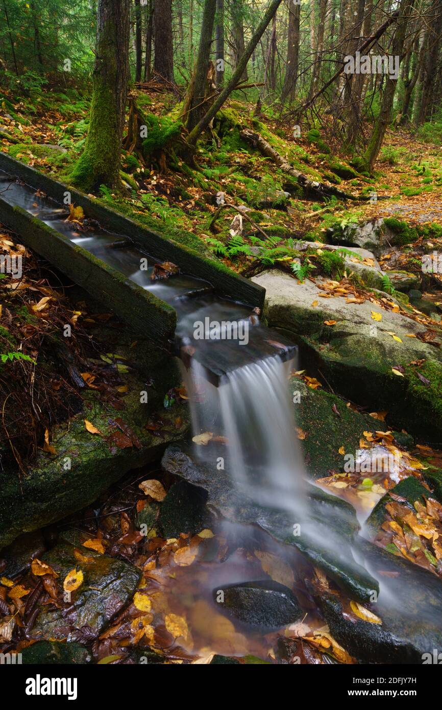 Autumn view of headwaters of Elakala Falls in Blackwater Falls State ...