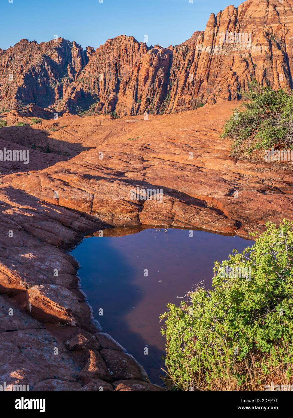 Petrified Dunes, Snow Canyon State Park, Saint George, Utah Stock Photo ...