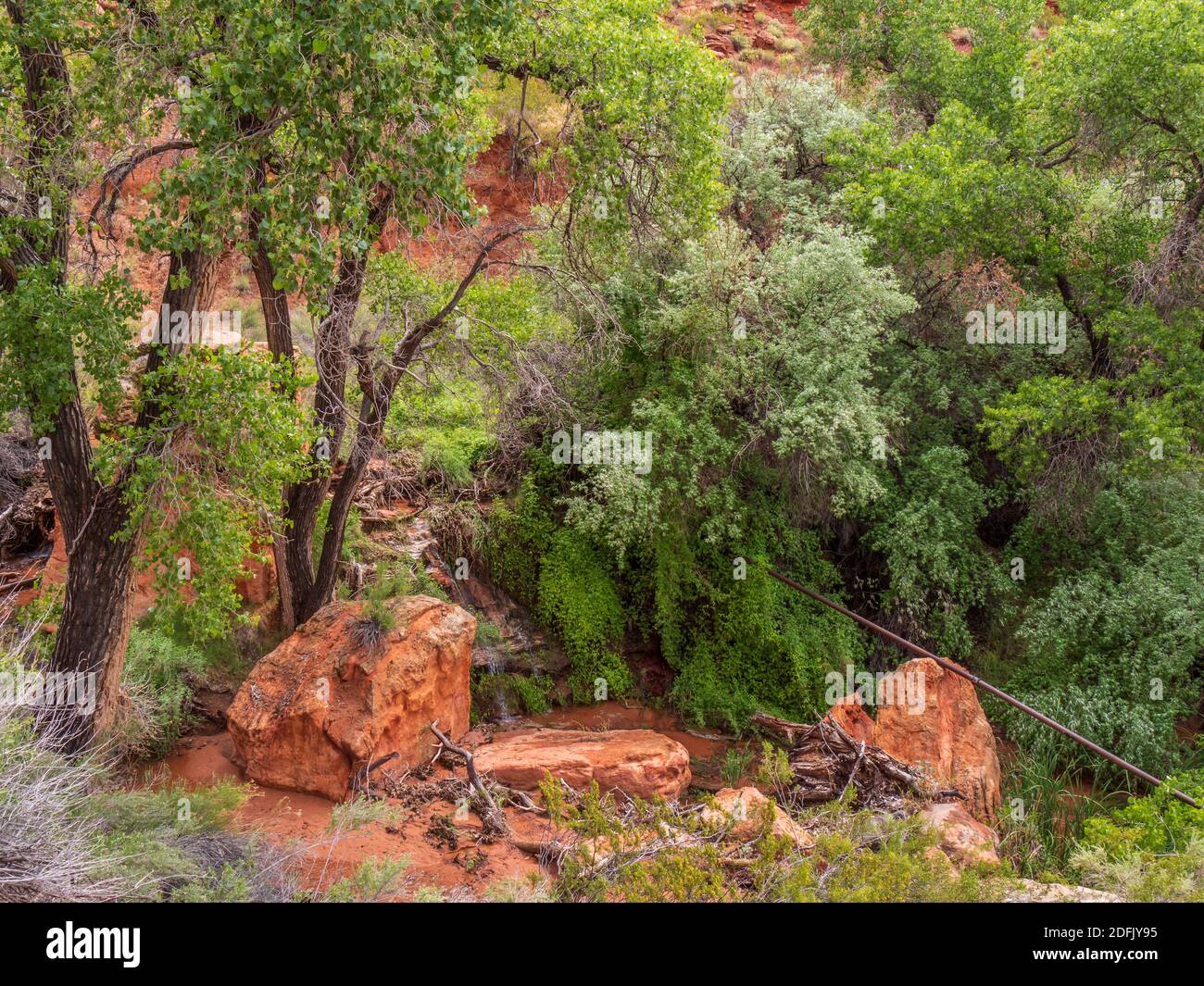 George s rust hi-res stock photography and images - Alamy